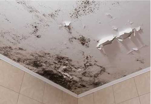 Resco Restoration | Citrus Heights Water Damage Restoration